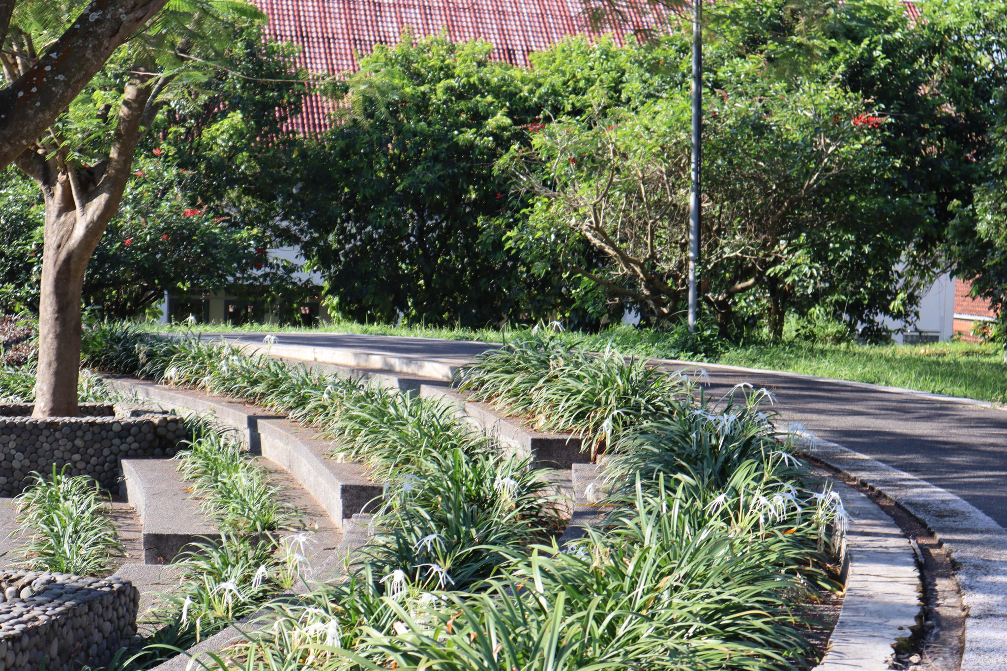 Amphitheater – Direktorat Kampus ITB